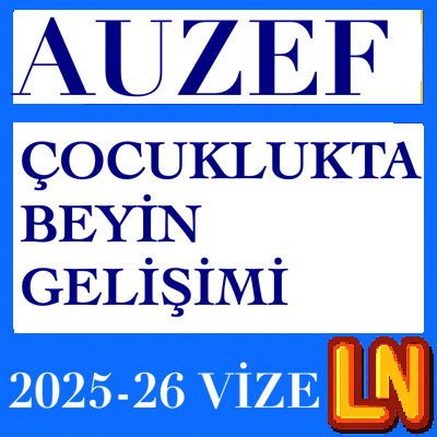 Çocuklukta Beyin Gelişimi 2025-2025 Vize Soruları